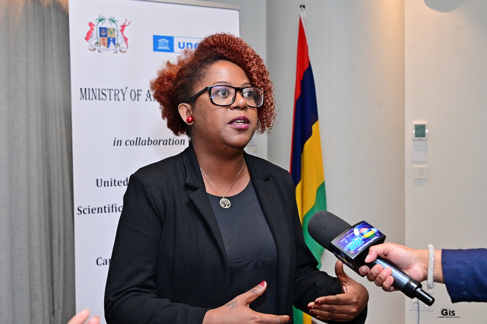 Mauritius launches UNESCO Culture 2030 Indicators