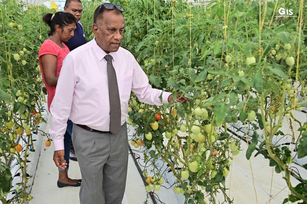 Minister Bholah effects site visit at a hydroponic farm in Triolet to ...