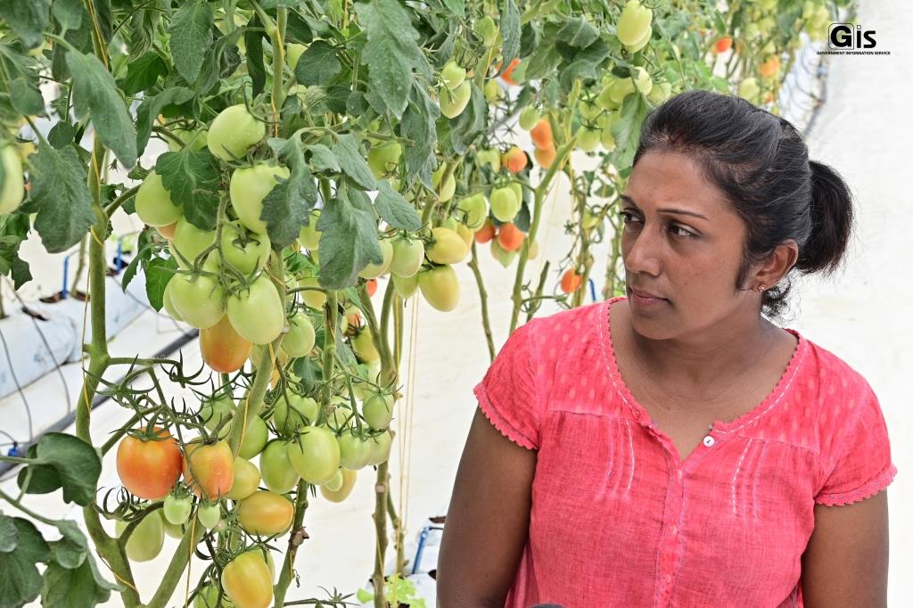 Minister Bholah effects site visit at a hydroponic farm in Triolet to ...