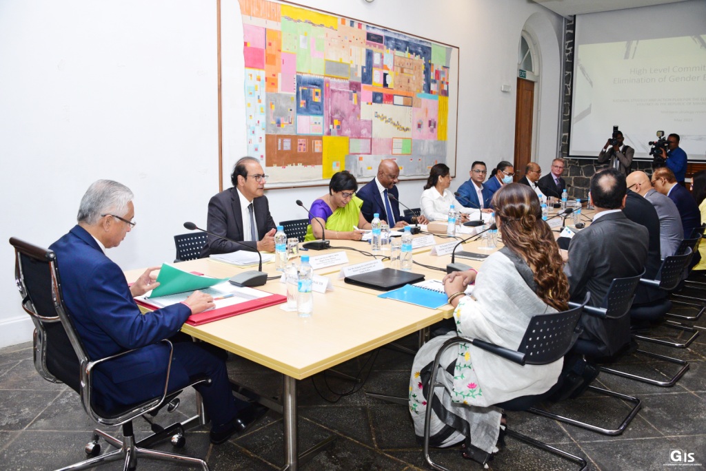 National Strategy on the Elimination of Gender-Based Violence reviewed ...