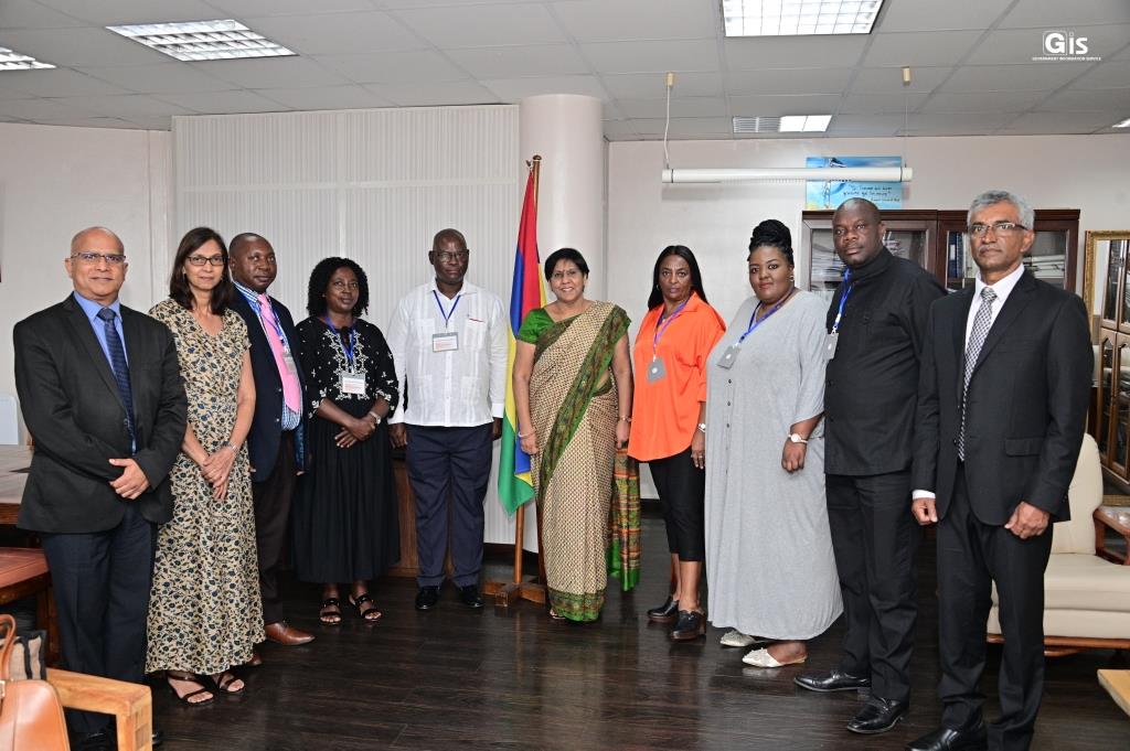 Vice-Prime Minister Dookhun-Luchoomun receives Namibian Parliamentarians